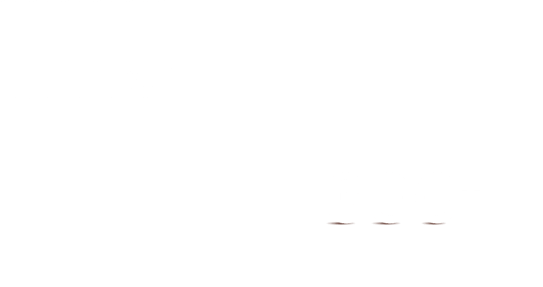 Valerion VisionMaster | Valerion