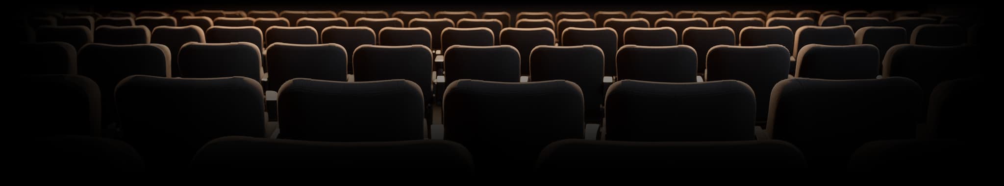 Valerion VisionMaster | Valerion